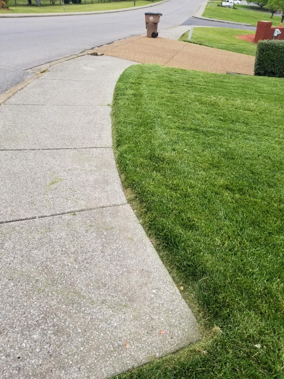 Expert Lawn Tips – Ransom Place